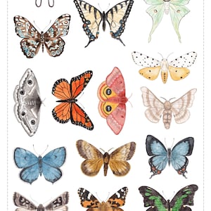 Printable Nature Stickers - 80+ Digital DIY Printable Stickers ...