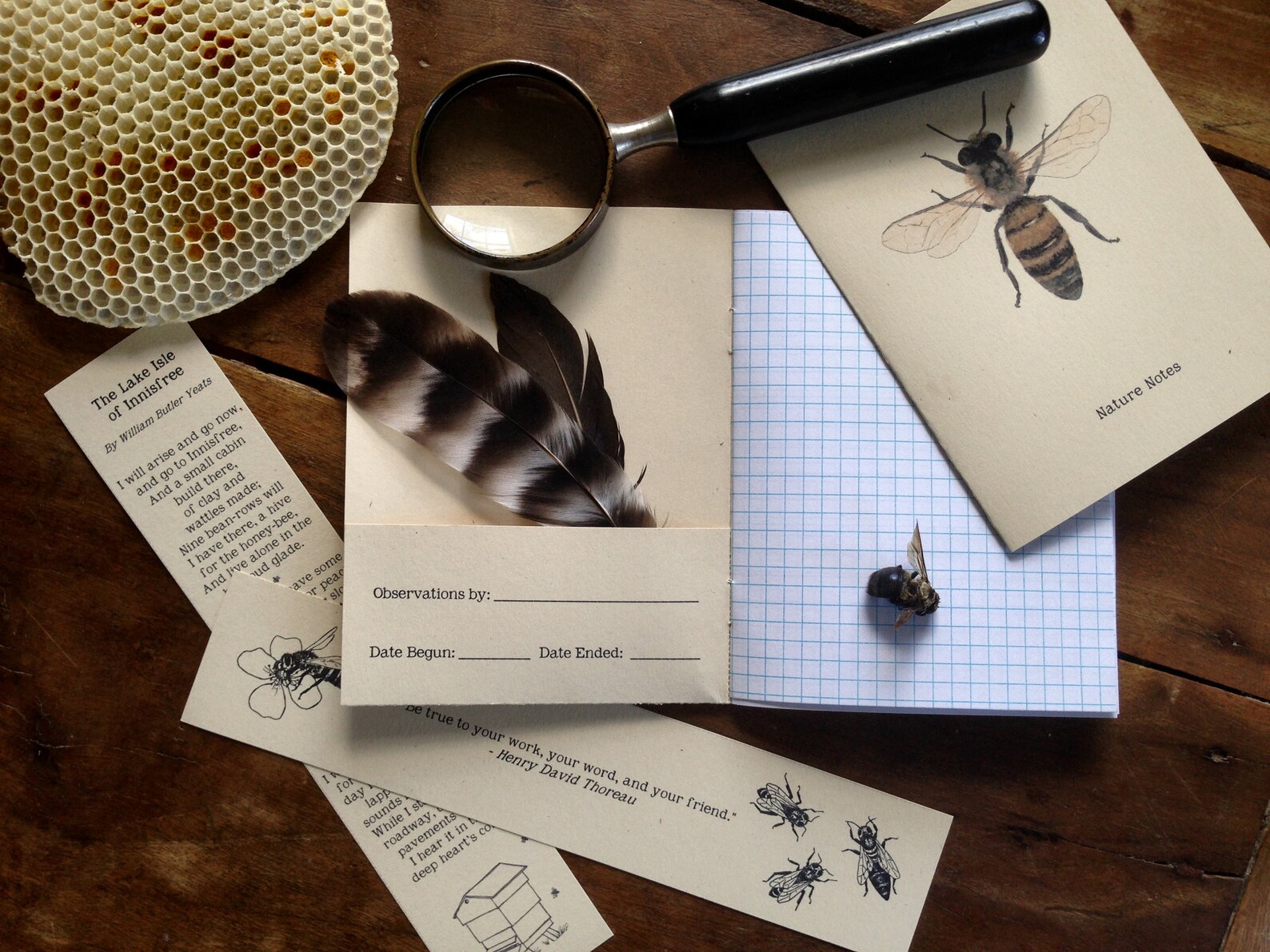 3 Pocket Nature Notebook Covers + 6 Bookmarks - Digital, Printable PDF ...