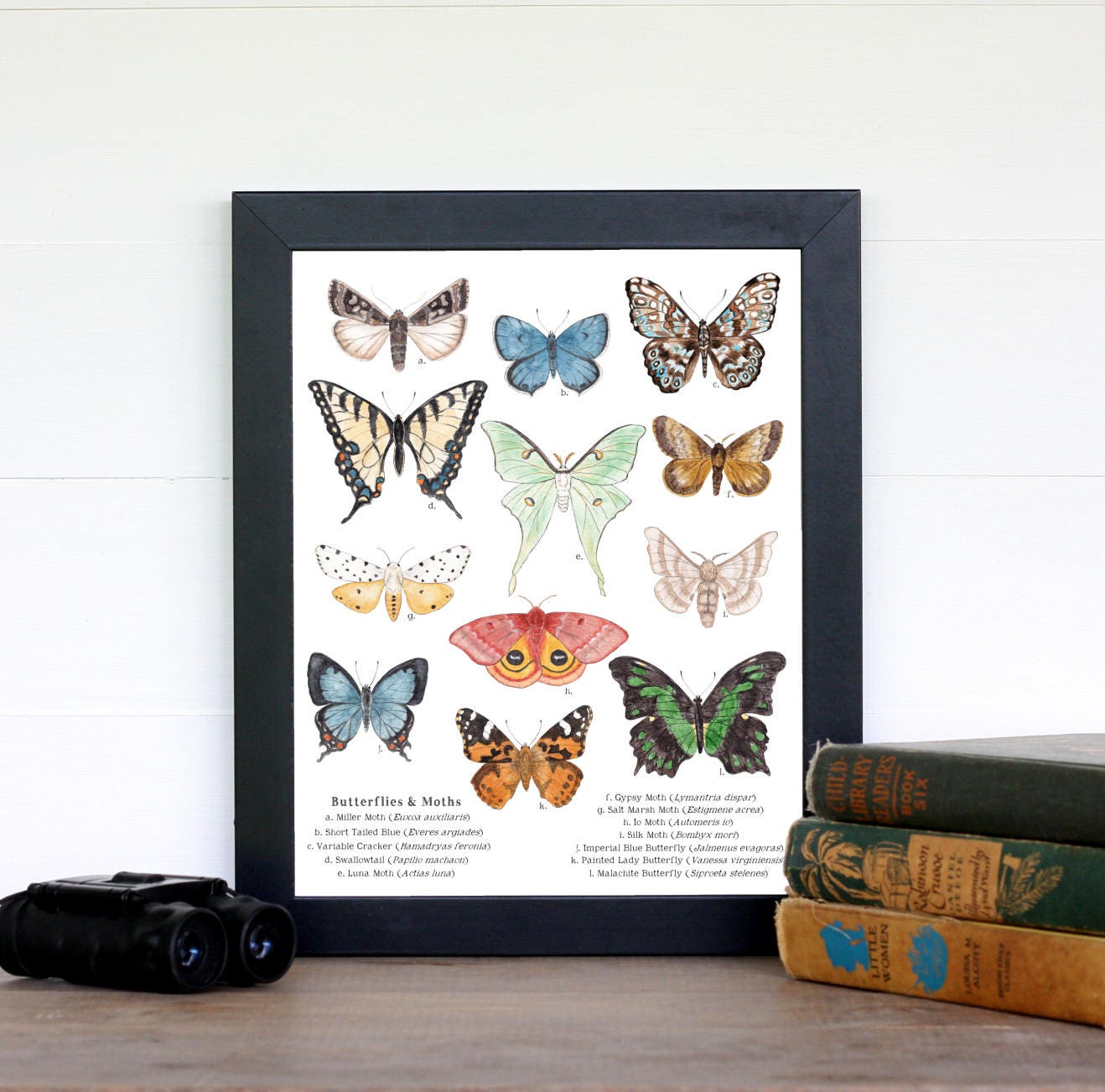 Digital Print - Printable Art - A4 and 8 X 10 - Butterflies and Moths ...