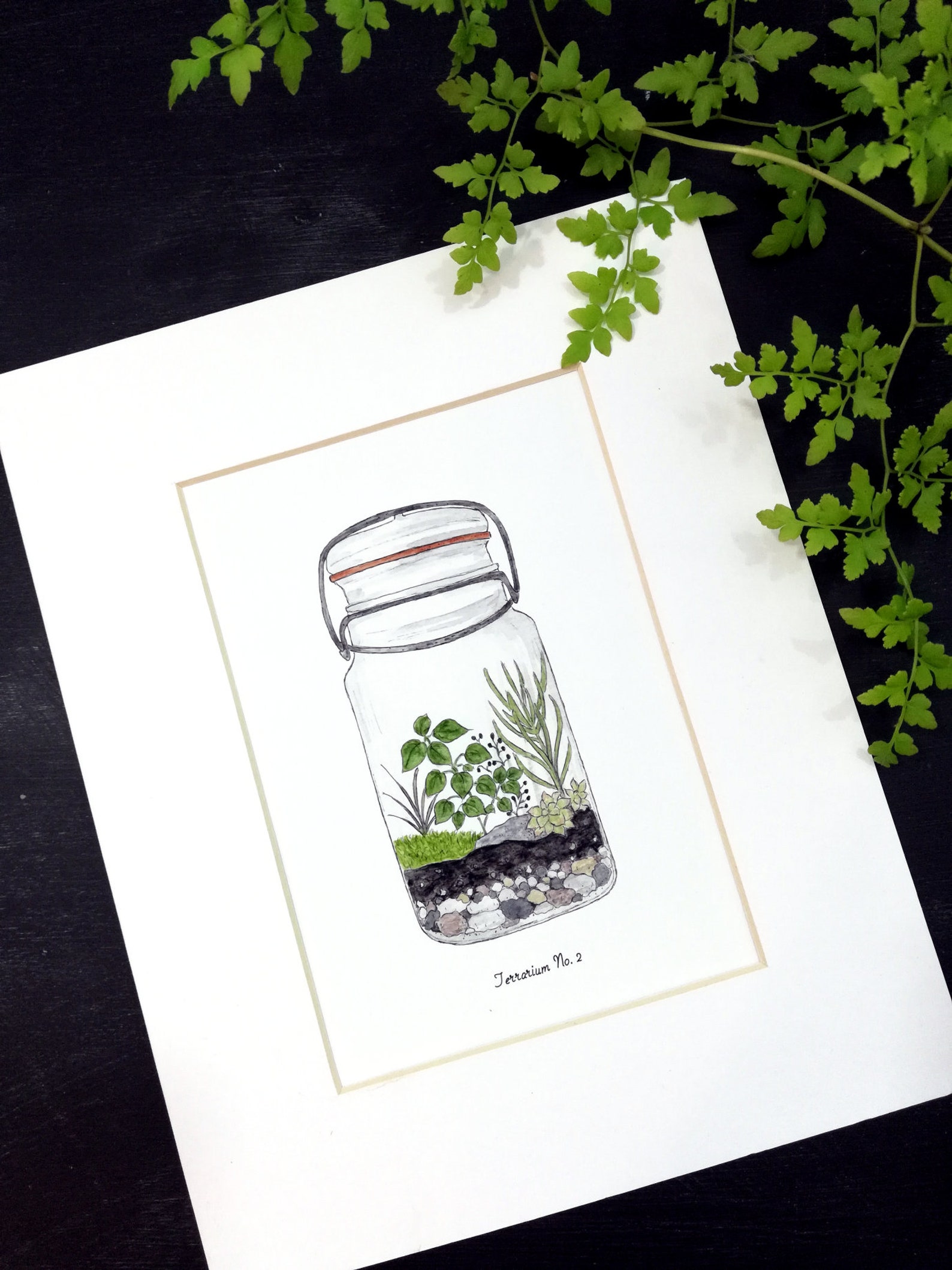 Terrarium Prints Digital Printable PDF 8.5 X - Etsy