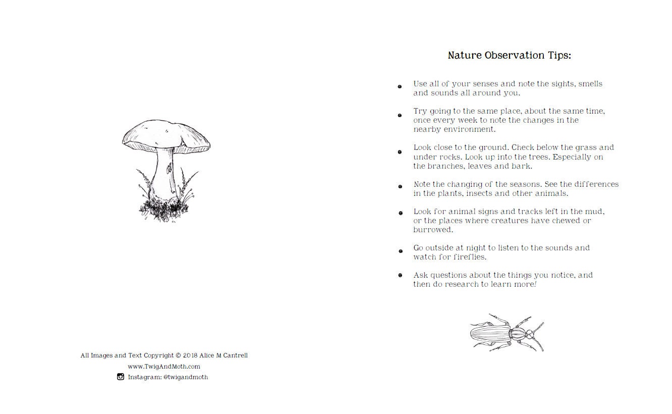 DIGITAL PDF Version - Nature Journal for Kids - 102 Pages - Printable ...