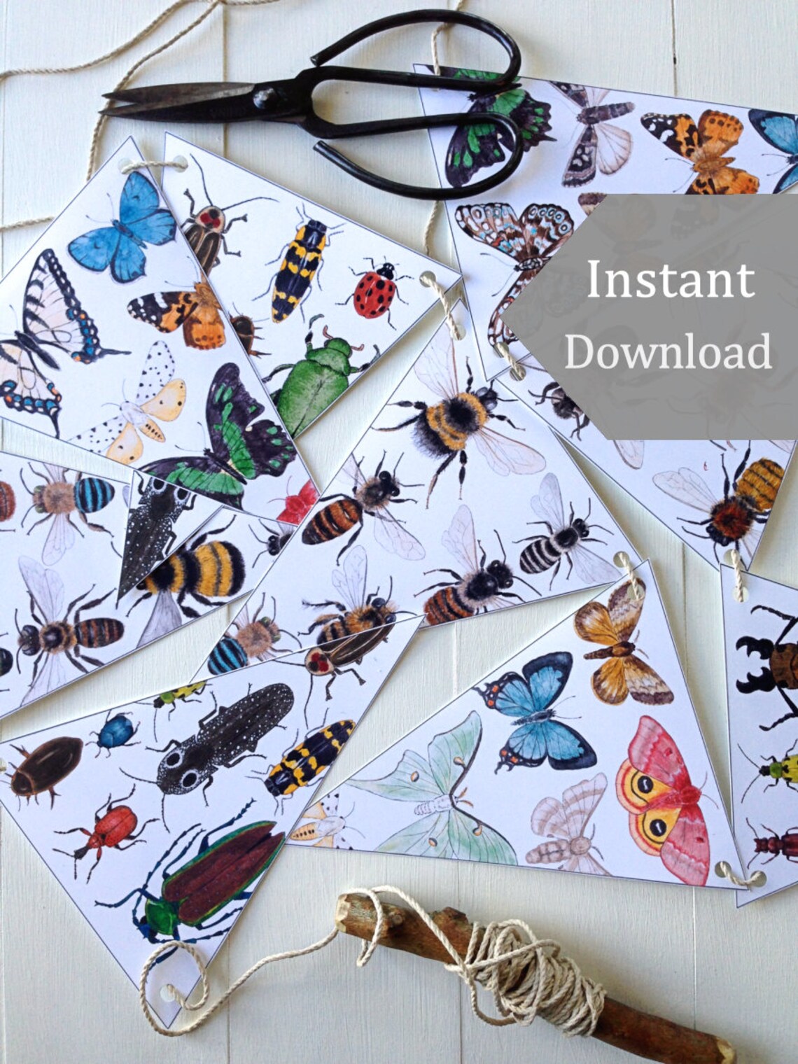 DIY Insects Bunting Digital Printable PDF School Room - Etsy