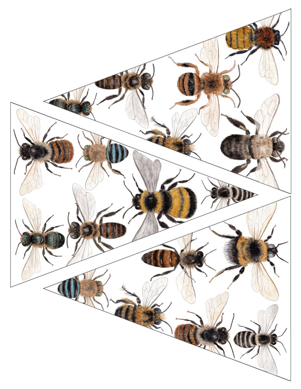 DIY Insects Bunting - Digital - Printable PDF - School Room Art, Moths ...