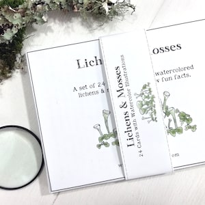 Lichens & Mosses Digital Bundle - Digital Print + Learning Cards ...