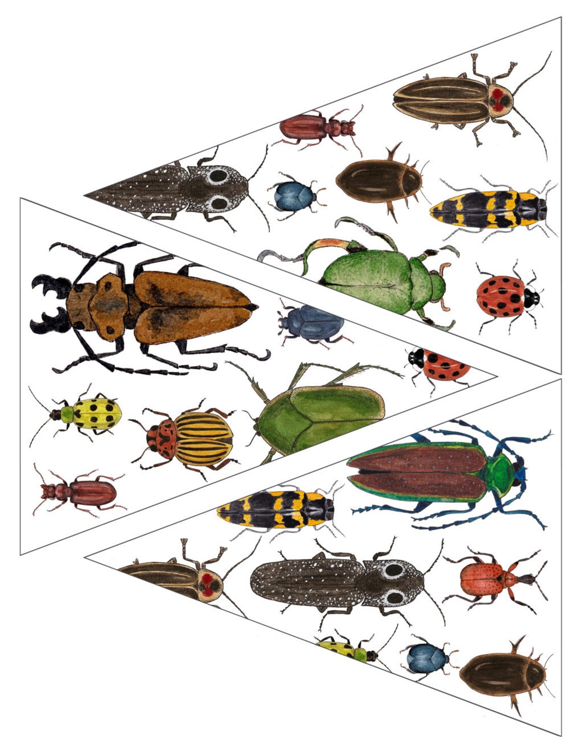 DIY Insects Bunting Digital Printable PDF School Room - Etsy