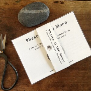 Phases of the Moon Cards - Northern & Southern Hemisphere Sets, Home ...