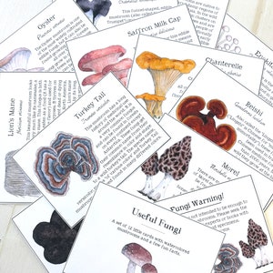 Useful Fungi Digital Bundle - Digital Print + Learning Cards ...