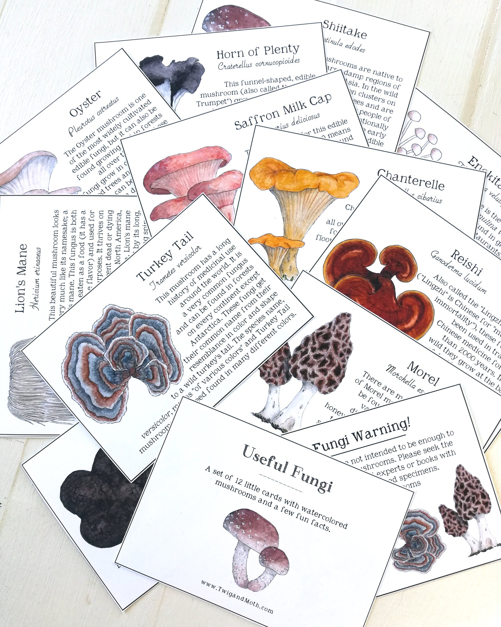 Useful Fungi Digital Bundle Digital Print Learning Cards - Etsy Australia