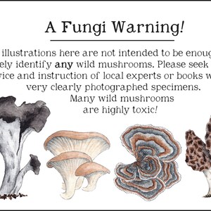 Useful Fungi Digital Bundle - Digital Print + Learning Cards ...