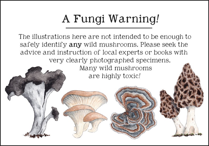 Useful Fungi Digital Bundle - Digital Print + Learning Cards ...