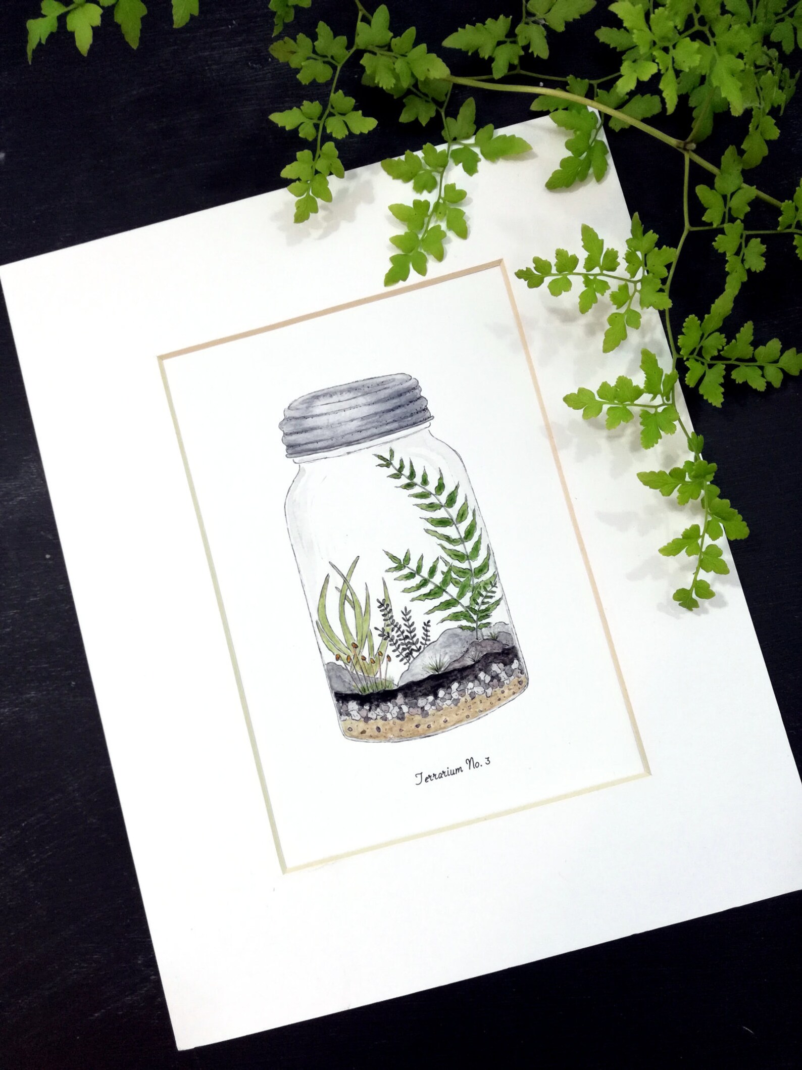 Terrarium Prints Digital Printable PDF 8.5 X - Etsy