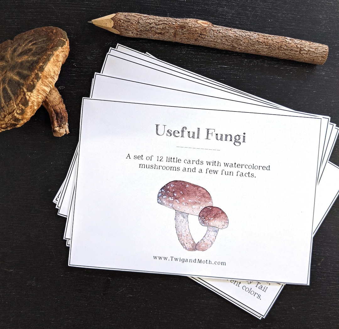 Useful Fungi Learning Cards Digital, Montessori, Homeschool, Charlotte ...