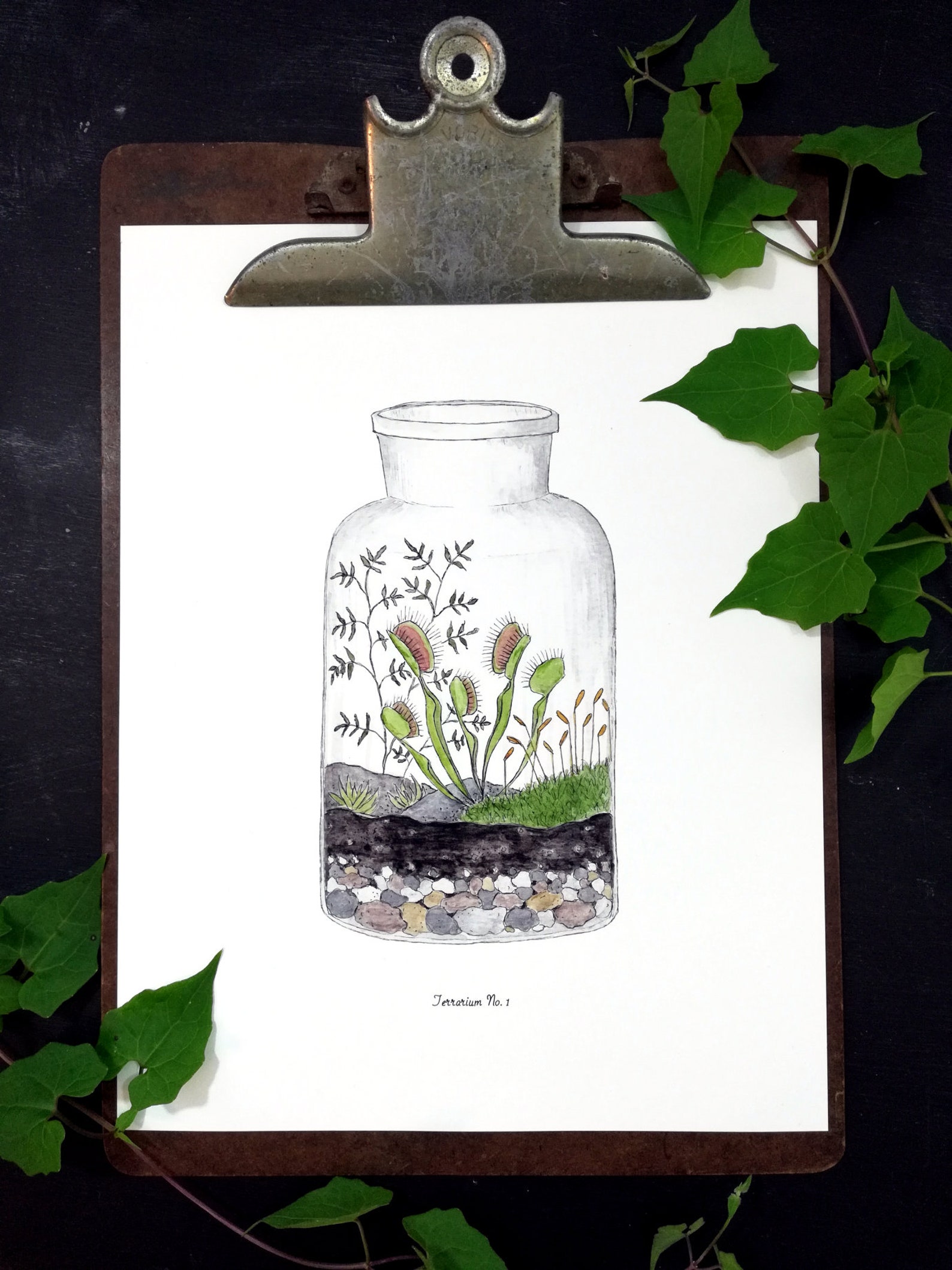 Terrarium Prints Digital Printable PDF 8.5 X - Etsy