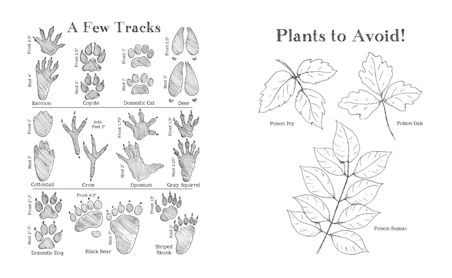 DIGITAL PDF Version - Nature Journal for Kids - 102 Pages - Printable ...