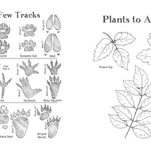 DIGITAL PDF Version - Nature Journal for Kids - 102 Pages - Printable ...