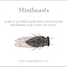 Minibeasts Assorted Invertebrates Learning Cards Montessori, Homeschool ...