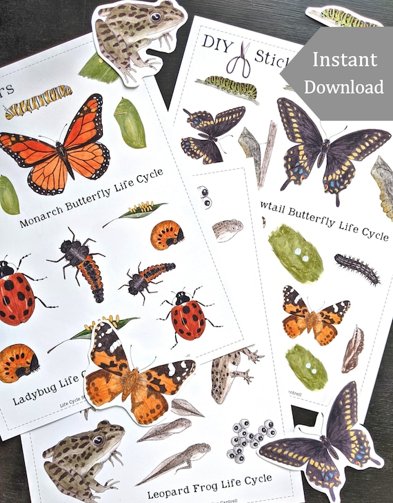 Printable Life Cycle Stickers 40 Digital DIY Printable - Etsy