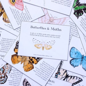 School Room Printable - Butterflies & Moths Learning Cards - Home ...