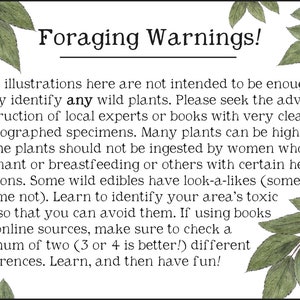 Useful Plants Learning Cards - Foraging, Homeschool, Nature Study ...