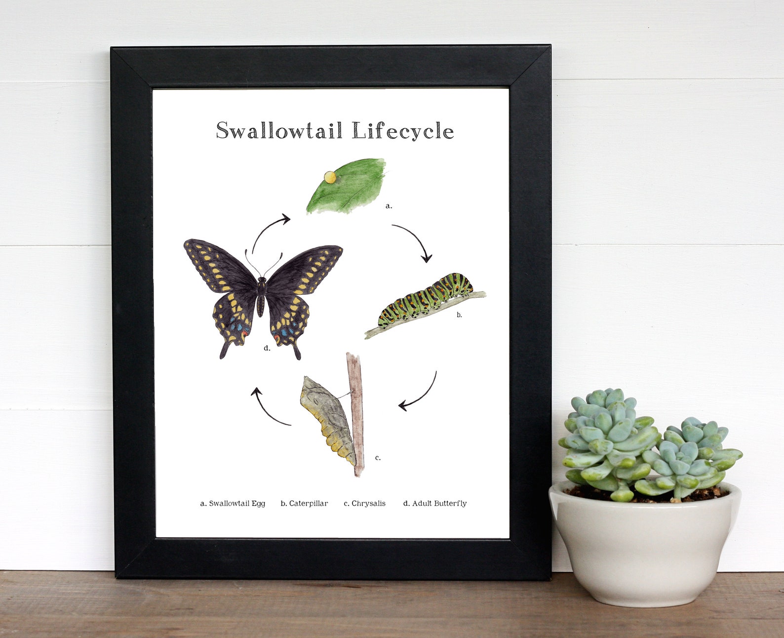 5 Sets - Nature Art, Printable Life Cycle Prints + Anatomy Art Prints ...