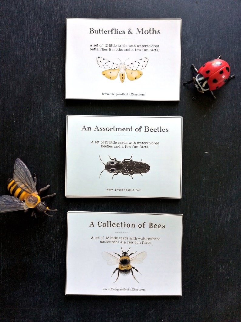 Bundle of Coloring Pages + Learning Cards - Digital, Printable ...