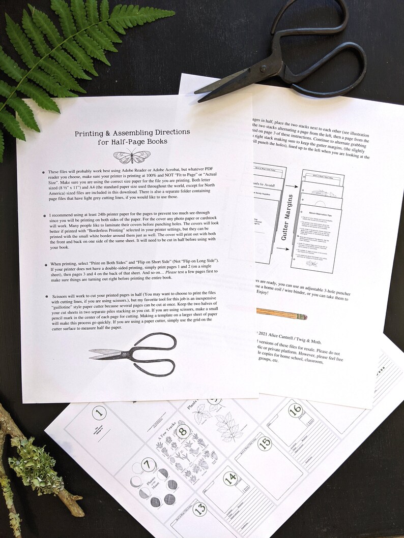 DIGITAL Smaller Sized Kid's Nature Journal Half-page | Etsy