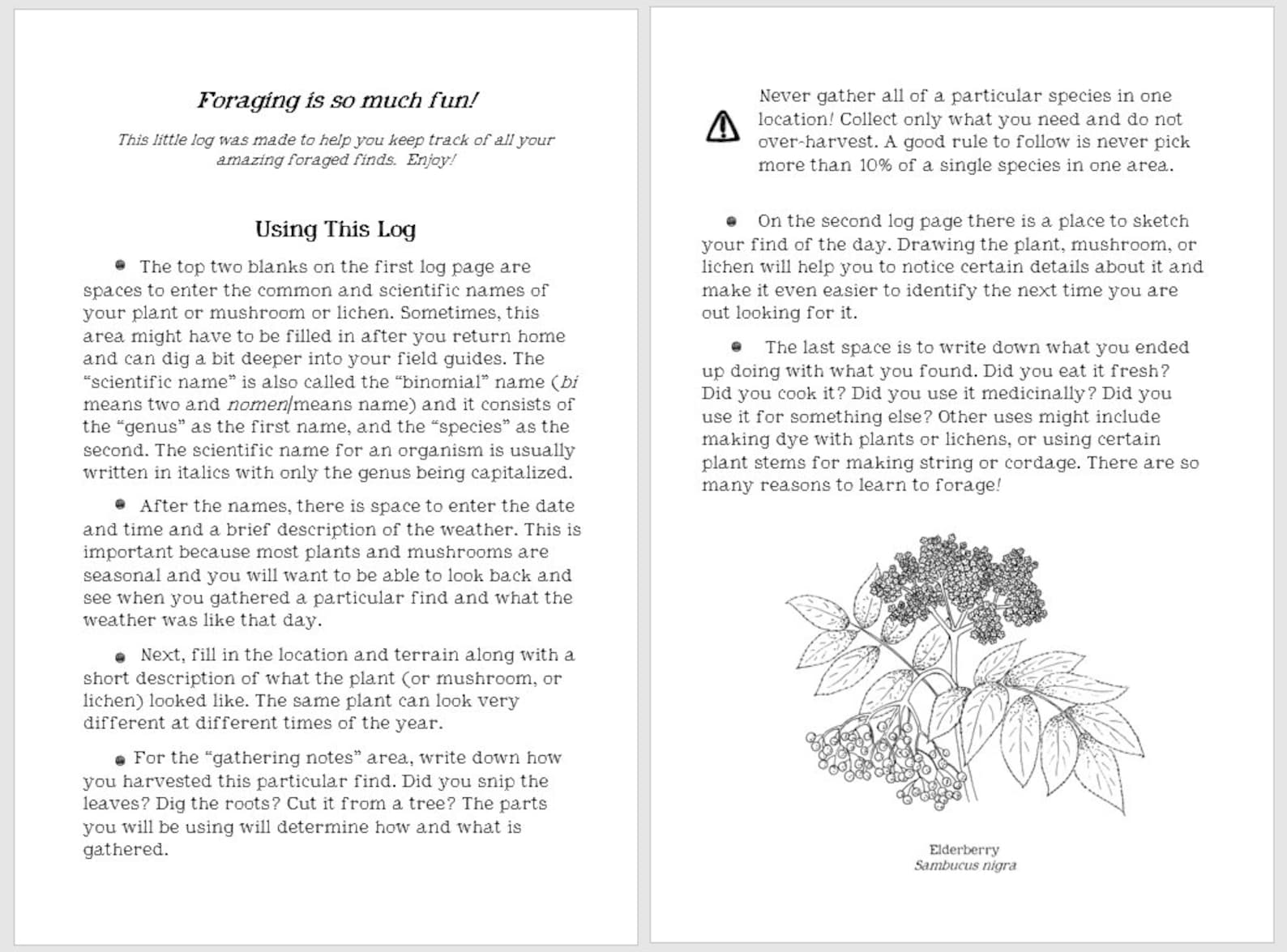 DIGITAL Foraging Log for Kids Half-page Size 104 Printable - Etsy