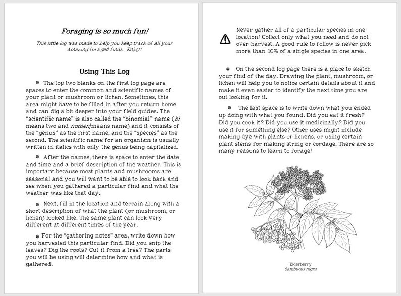 DIGITAL Foraging Log for Kids - Half-page Size - 104 Printable Pages ...