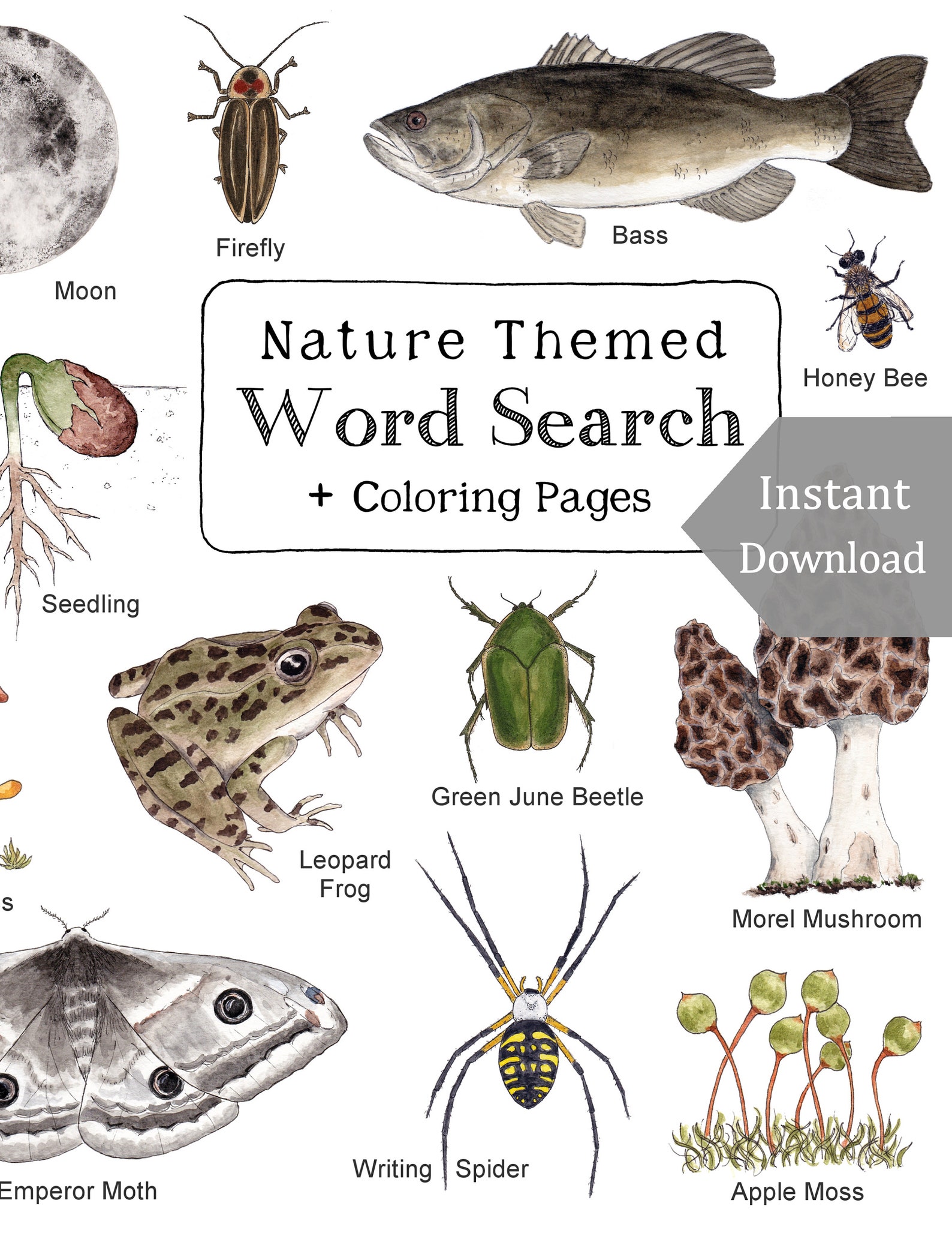 DIGITAL PDF Version Nature Themed Word Search Coloring | Etsy