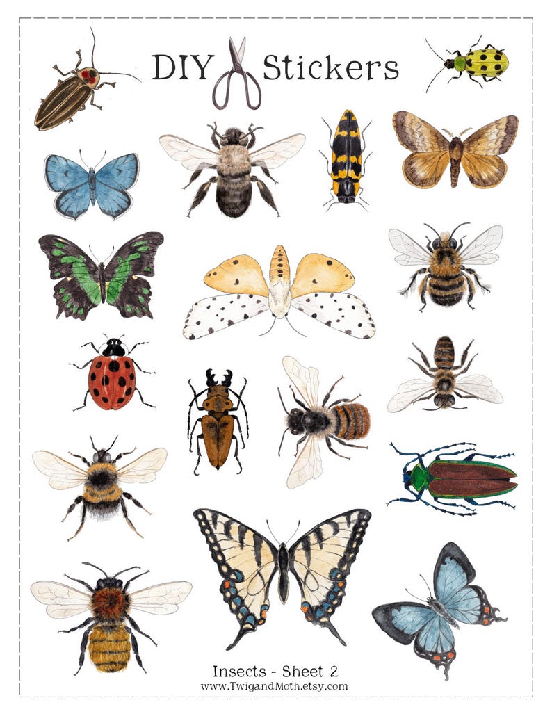 Printable Insect Stickers 36 Digital DIY Stickers | Etsy