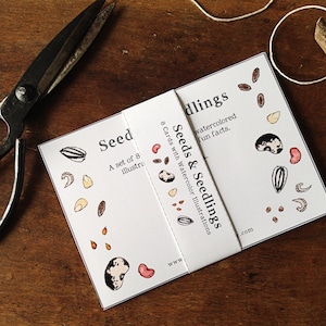 Seeds and Seedlings - Cards - Digital - Printable PDF, Montessori ...