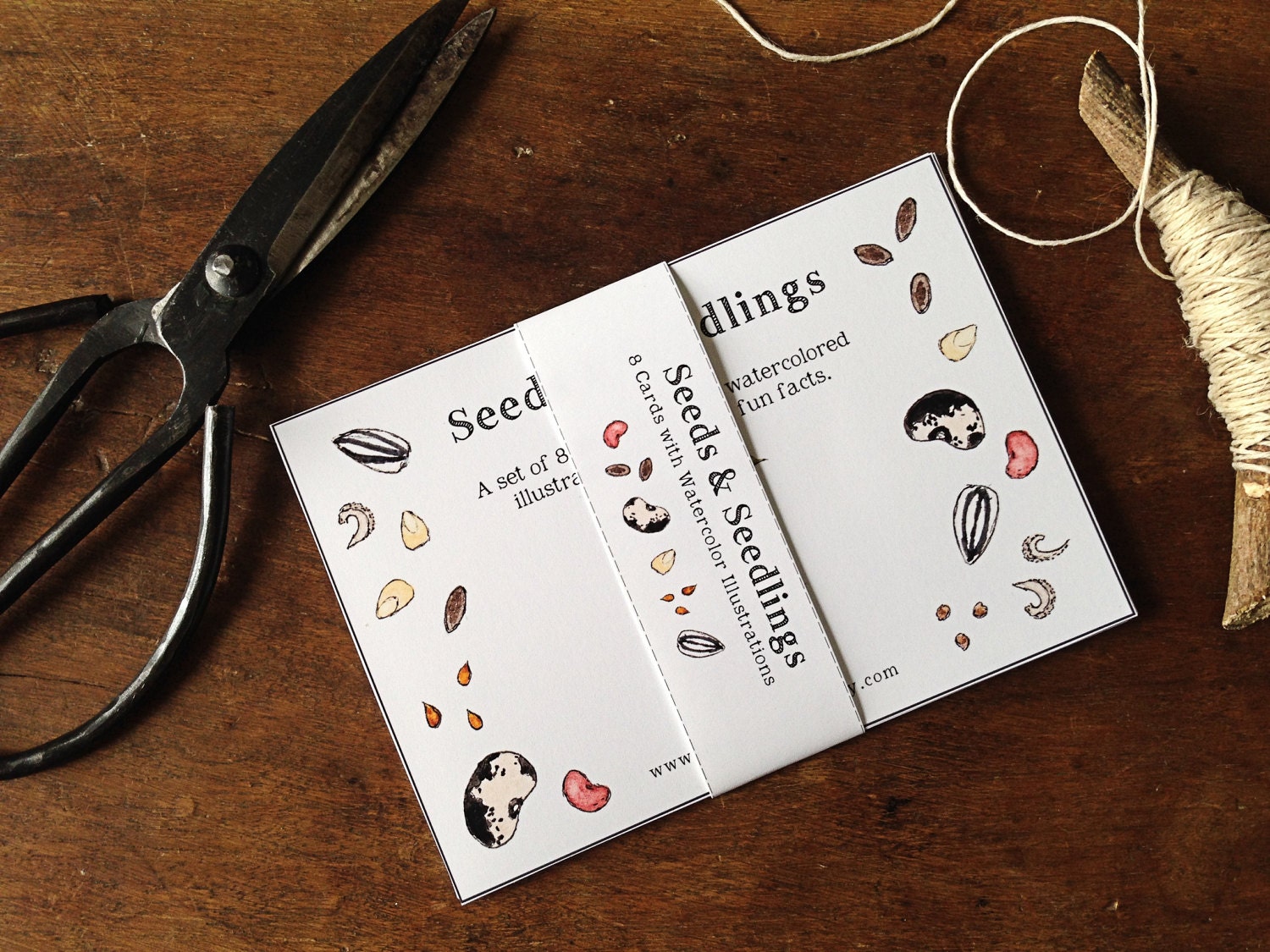 Seeds and Seedlings Cards Digital Printable PDF | Etsy