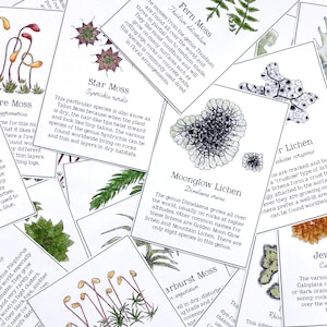 Lichens & Mosses Digital Bundle - Digital Print + Learning Cards ...