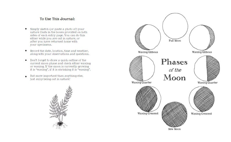 DIGITAL PDF Version - Nature Journal for Kids - 102 Pages - Printable ...