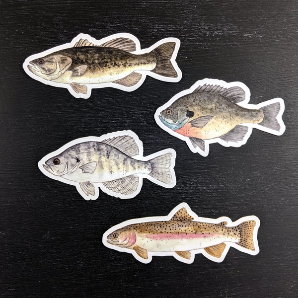 Freshwater Fish - Etsy