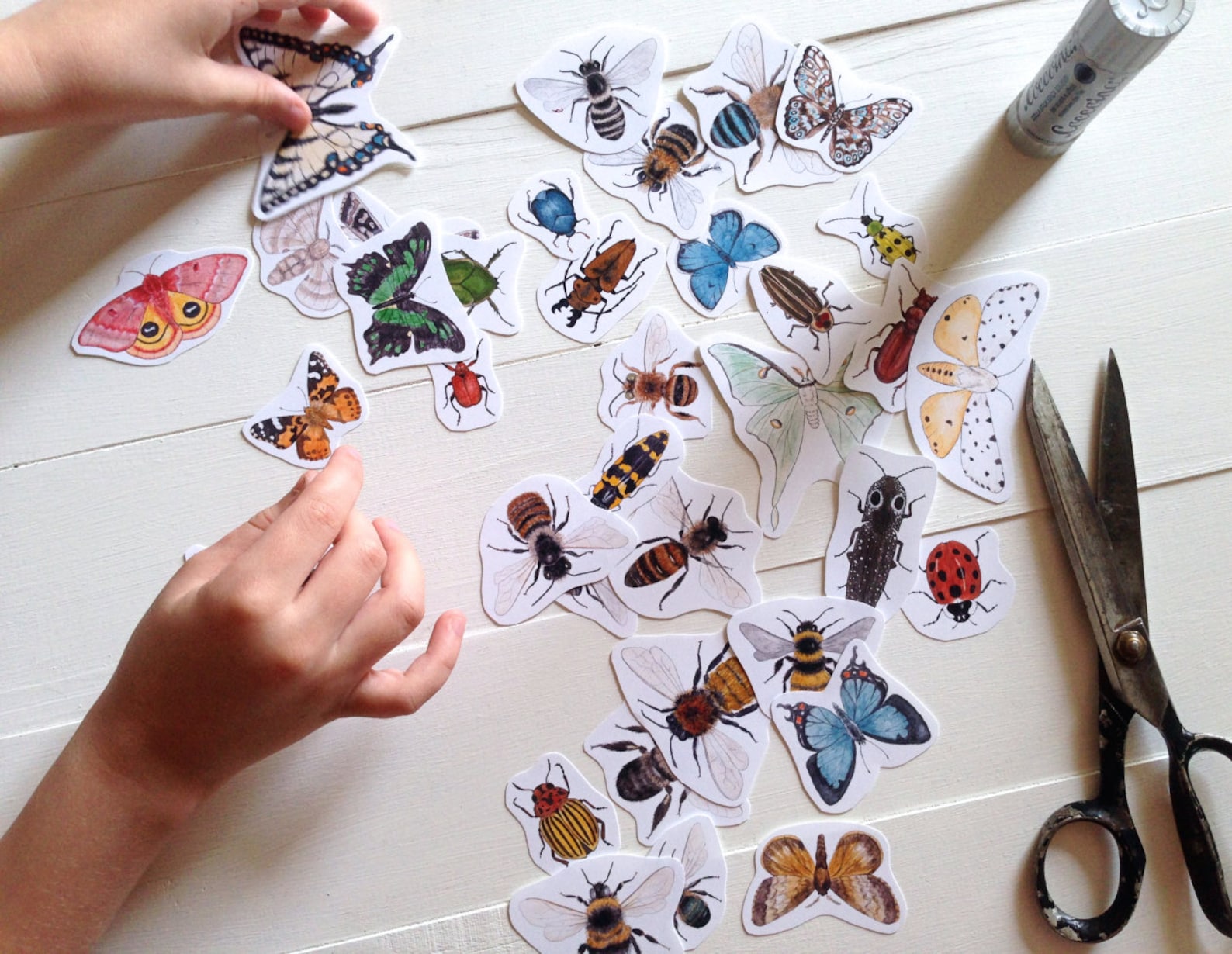 Printable Nature Stickers 80 Digital DIY Printable Stickers | Etsy