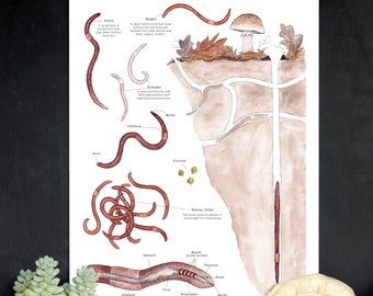 Earthworm Poster - Etsy