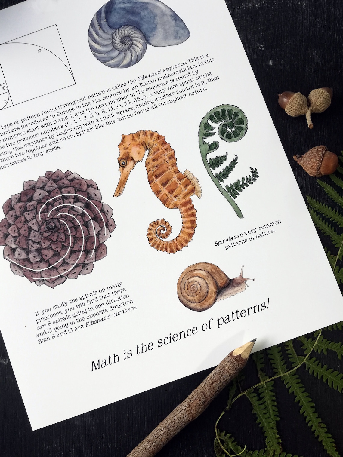 Patterns in Math & Nature School Room Printable - 8.5 X 11 and A4 ...