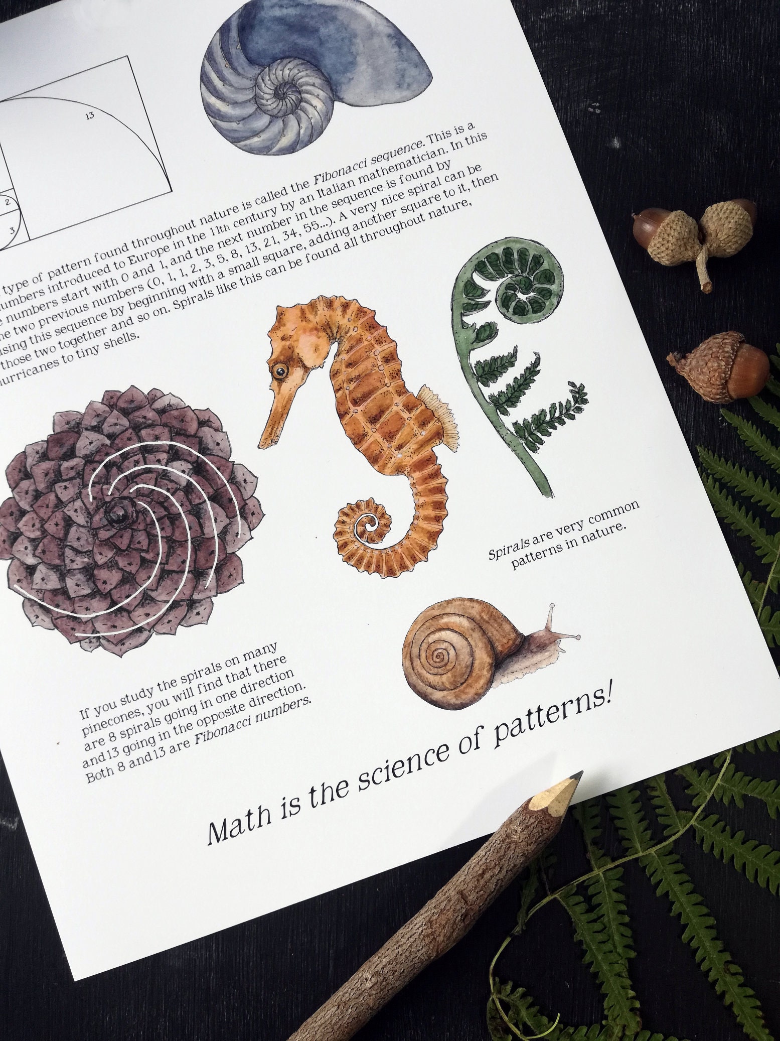 Patterns in Math School Room Printable & Poster 8.5 x 11 and | Etsy