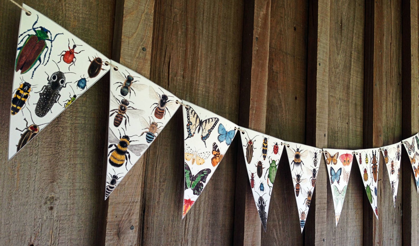 DIY Insects Bunting Digital Printable PDF School Room - Etsy