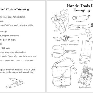 DIGITAL Foraging Log for Kids - Half-page Size - 104 Printable Pages ...