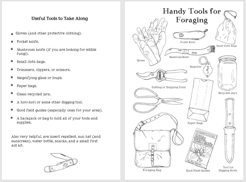 DIGITAL Foraging Log for Kids Half-page Size 104 Printable - Etsy