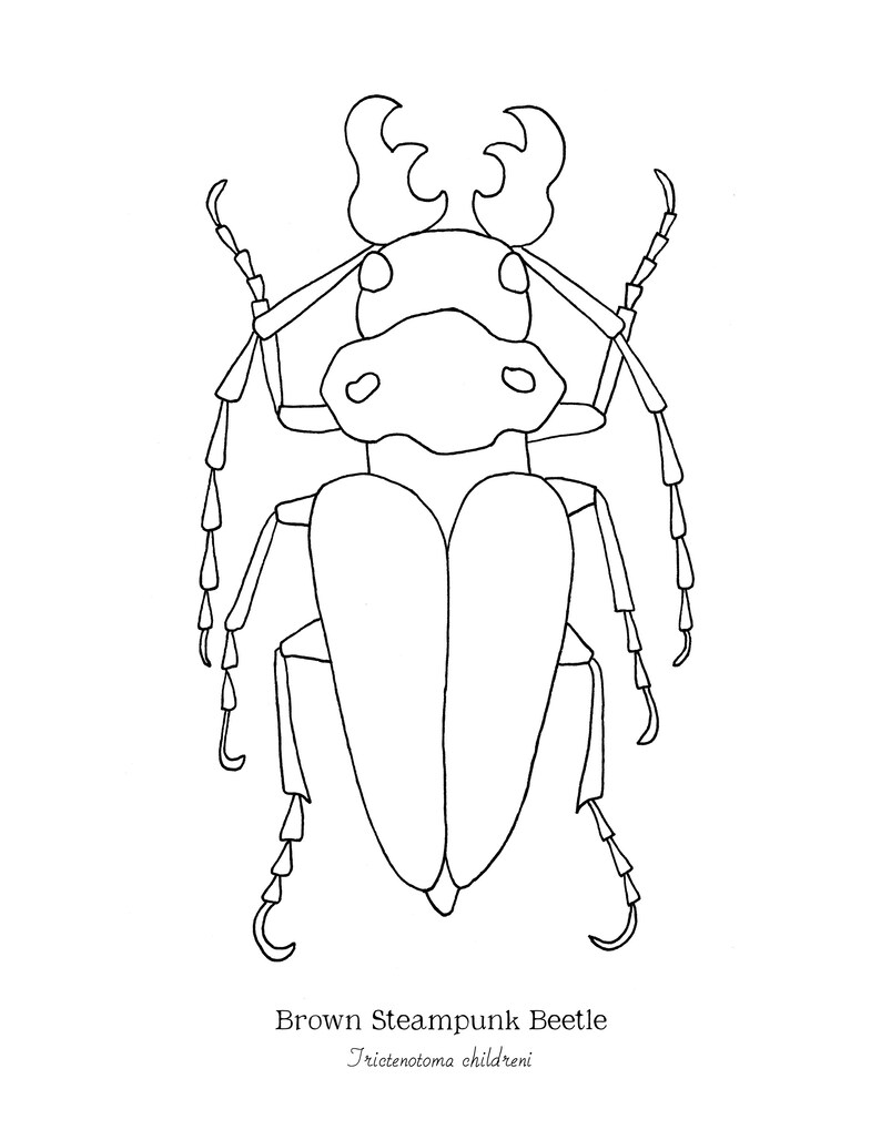 Bundle of Coloring Pages + Learning Cards - Digital, Printable ...