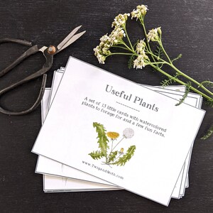 Flora Learnings Cards Bundle - 4 Sets - Botanical Flash Cards ...