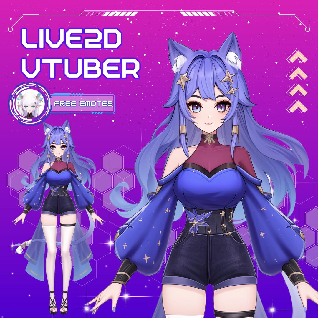 Custom Vtuber Model for commercial use / live2d model premade/Vtuber ...