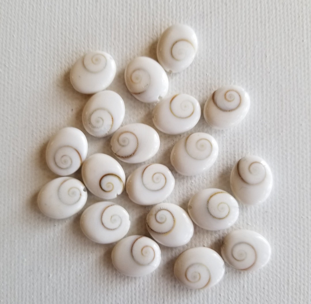 20 Swirl Shell Beads 12mm White - Etsy