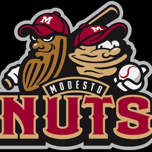 Modesto Nuts Logo Car Decal Sticker / Vinyl Decal 10 Sizes!! Tracking ...