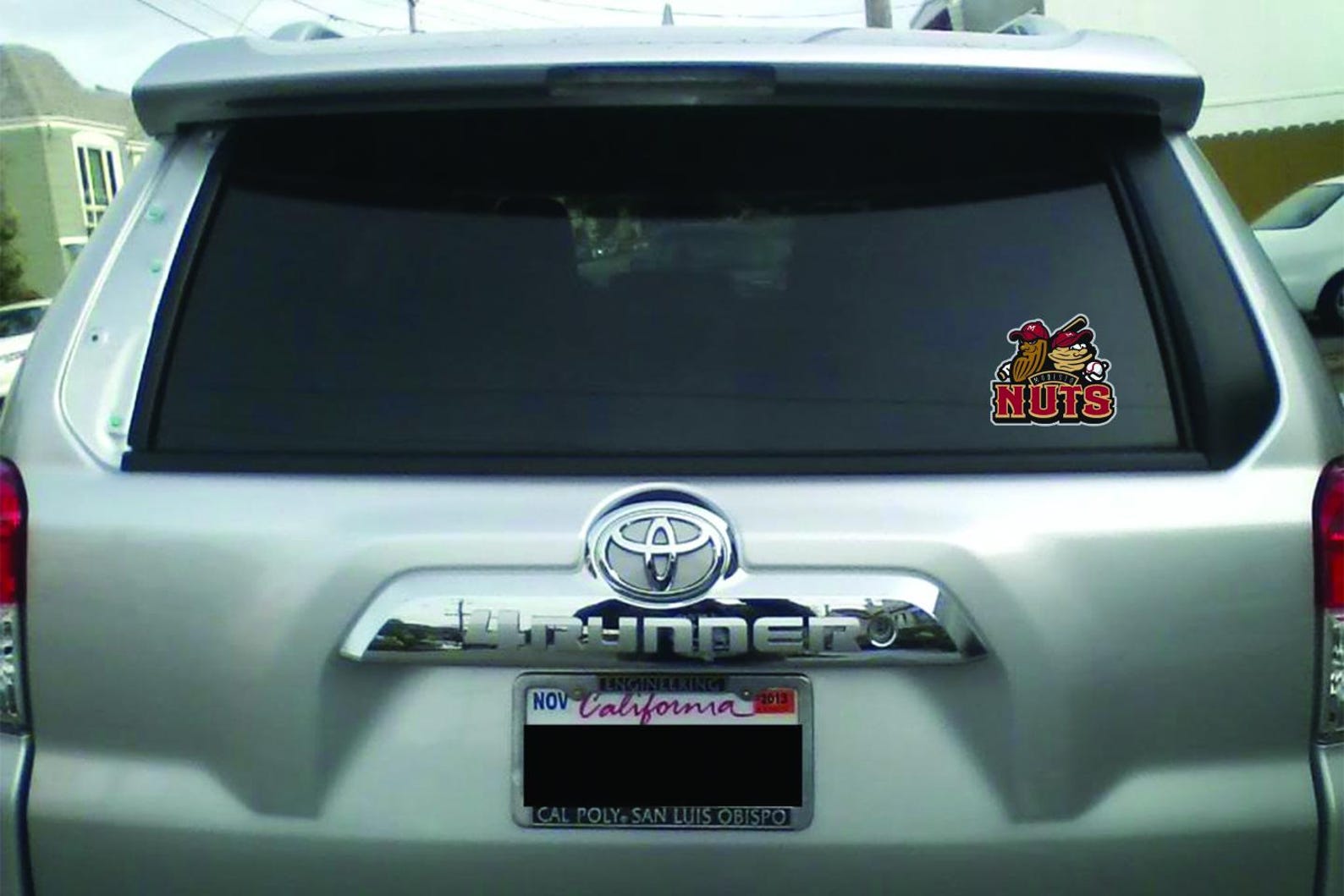 Modesto Nuts Logo Car Decal Sticker / Vinyl Decal 10 Sizes!! Tracking ...