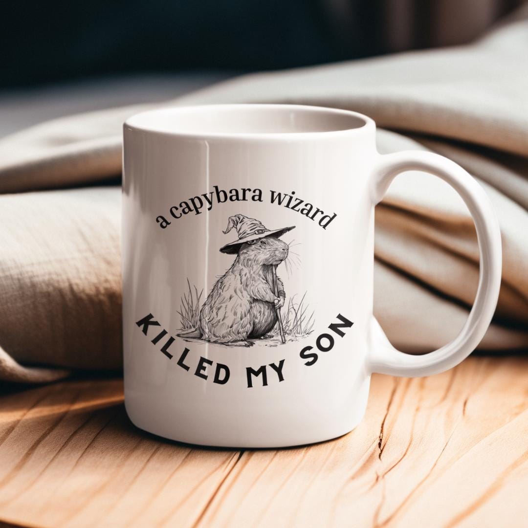 A Capybara Wizard Killed My Son -- D&D Inspired Meme White Mug 11oz - Etsy