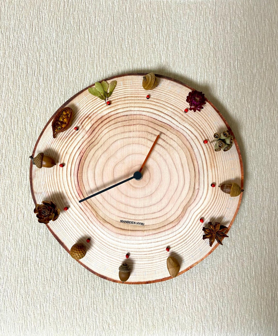 Handmade Walking Clock With Plant Seeds/home Decor/wall Decor/shop ...